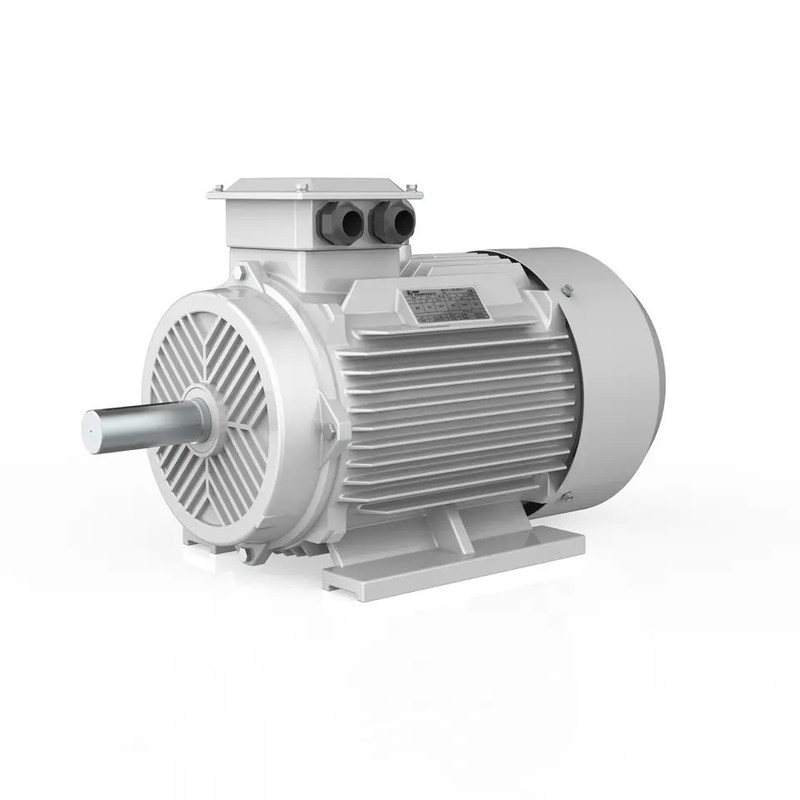 Iec 34-1 Compact Asynchronous Motor Industrial 0.18-630kw Electric AC 380V