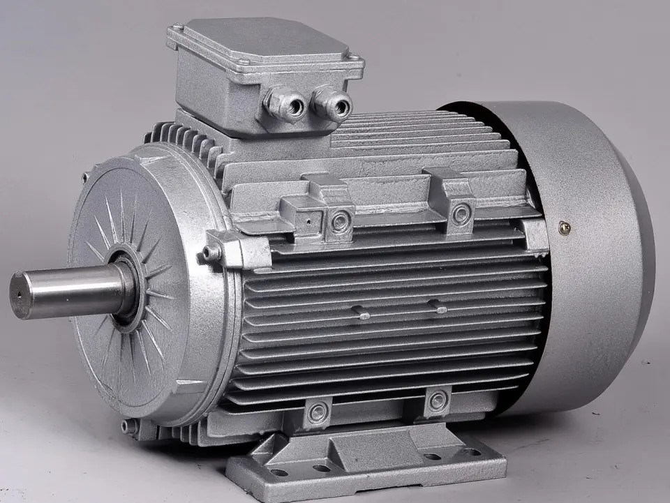 Two Pole Induction Motor 2 Pole 220V High Low Rpm 3 Hp Ac