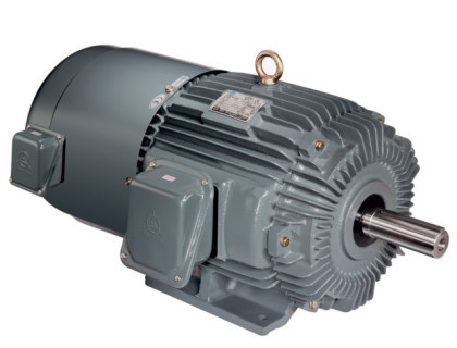 IC416 Inverted Induction Motor Three Phase