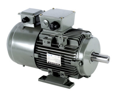 Aluminum Asynchronous Inverter Motors 3 Phase