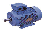 Vibration IEC Standard Motors En 60034 1 Motor Iec 34 1 Motor