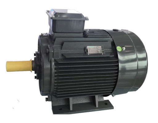 AC Asynchronous Inverter Motors General Purpose