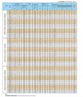 Inverter Fed Induction Motor IE2 IE3 3 Phase Asynchronous Inverter Motors