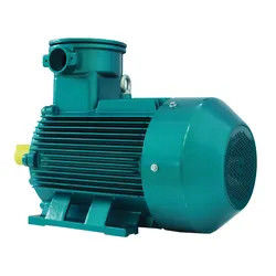 Ie2 Ie3 Class Motor 3 Phase Asynchronous Electric Motor